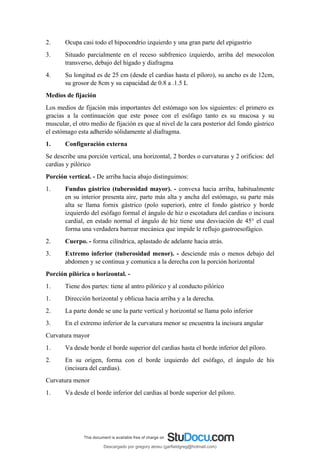 Arteria mesenterica-superior | PDF