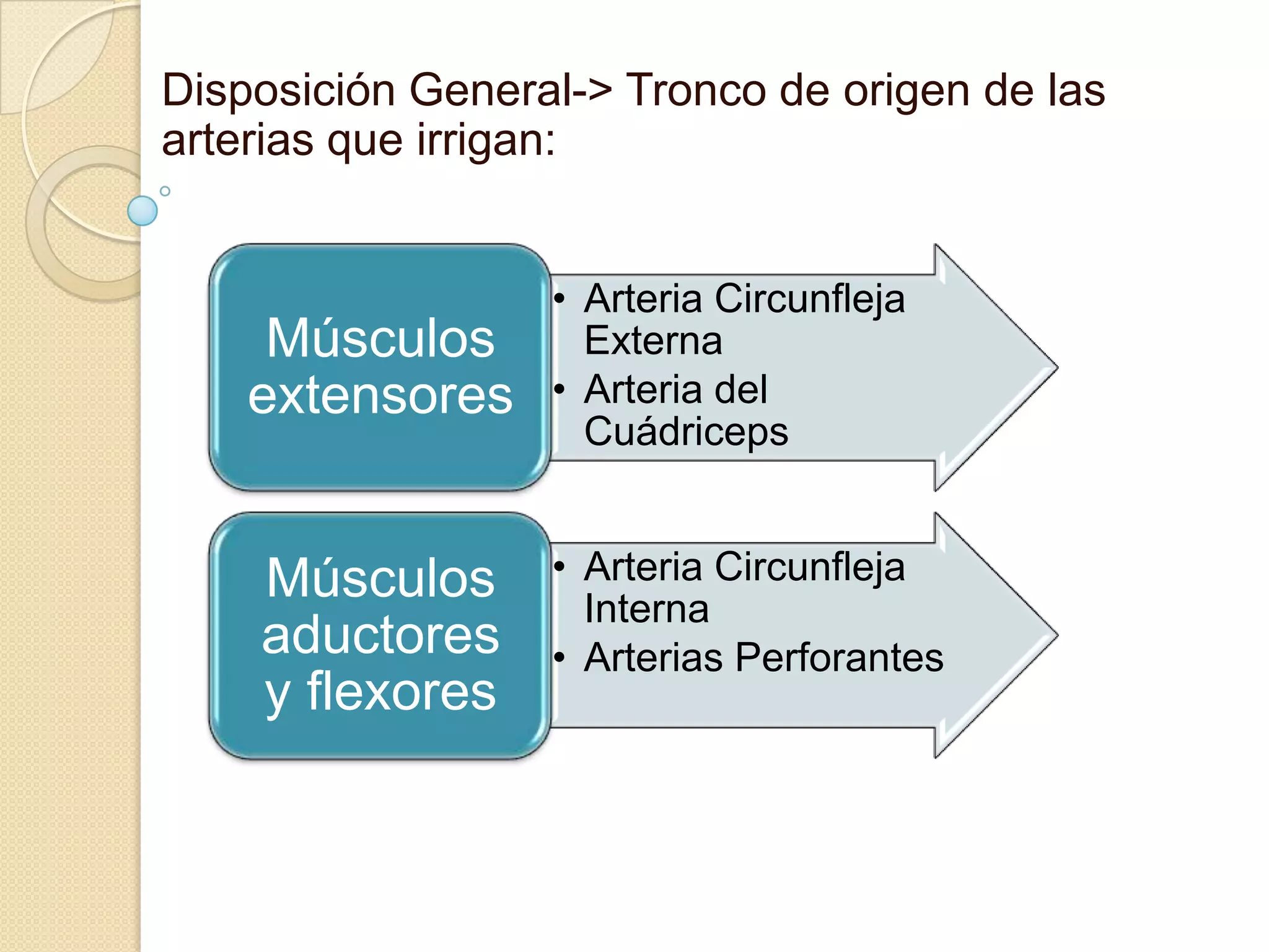 Arteria femoral | PPTX