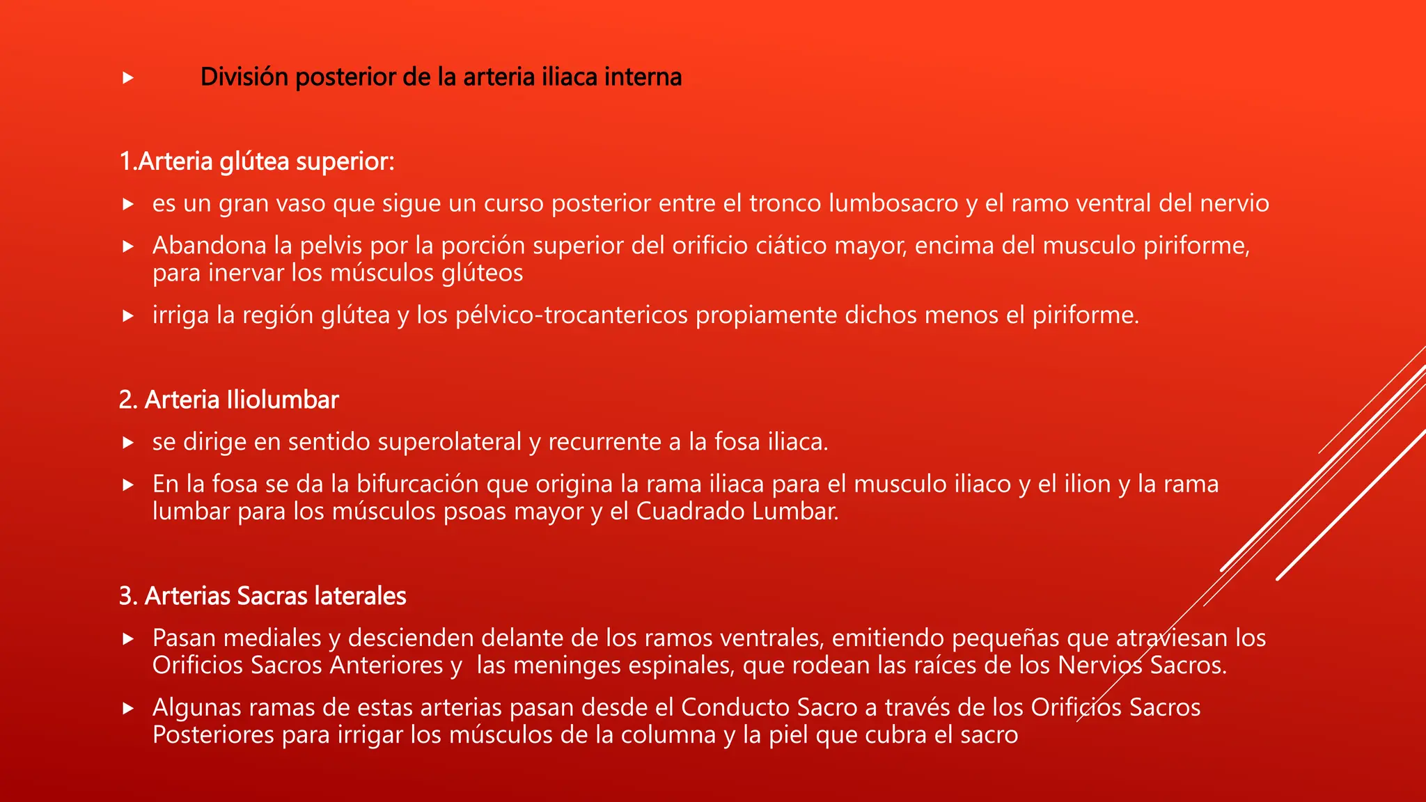 ARTERIA ILIACA INTERNA.pptx