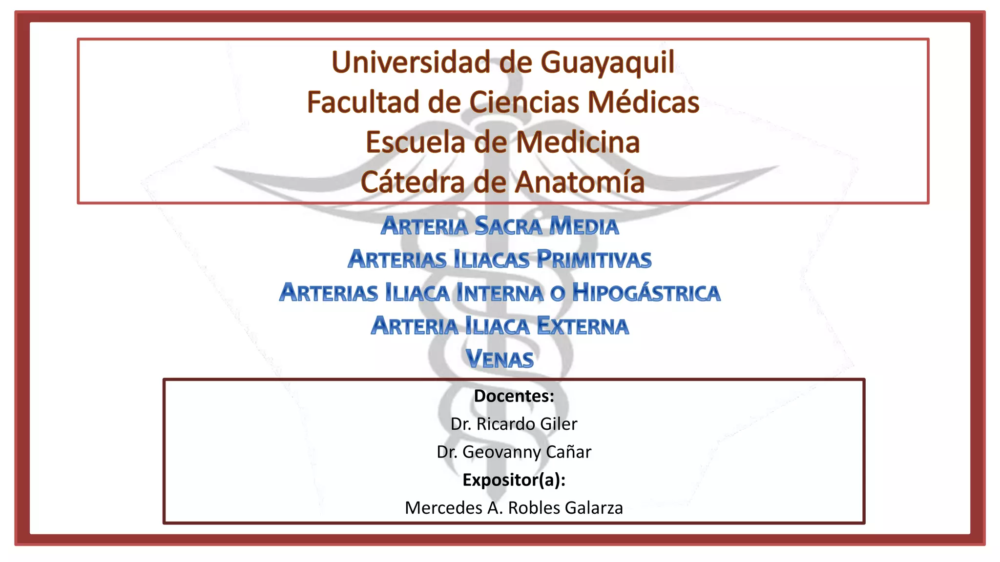 Anatomia de la Arteria Iliaca | PPTX