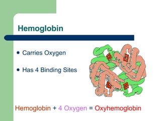 Arterial Blood Gases | PPT