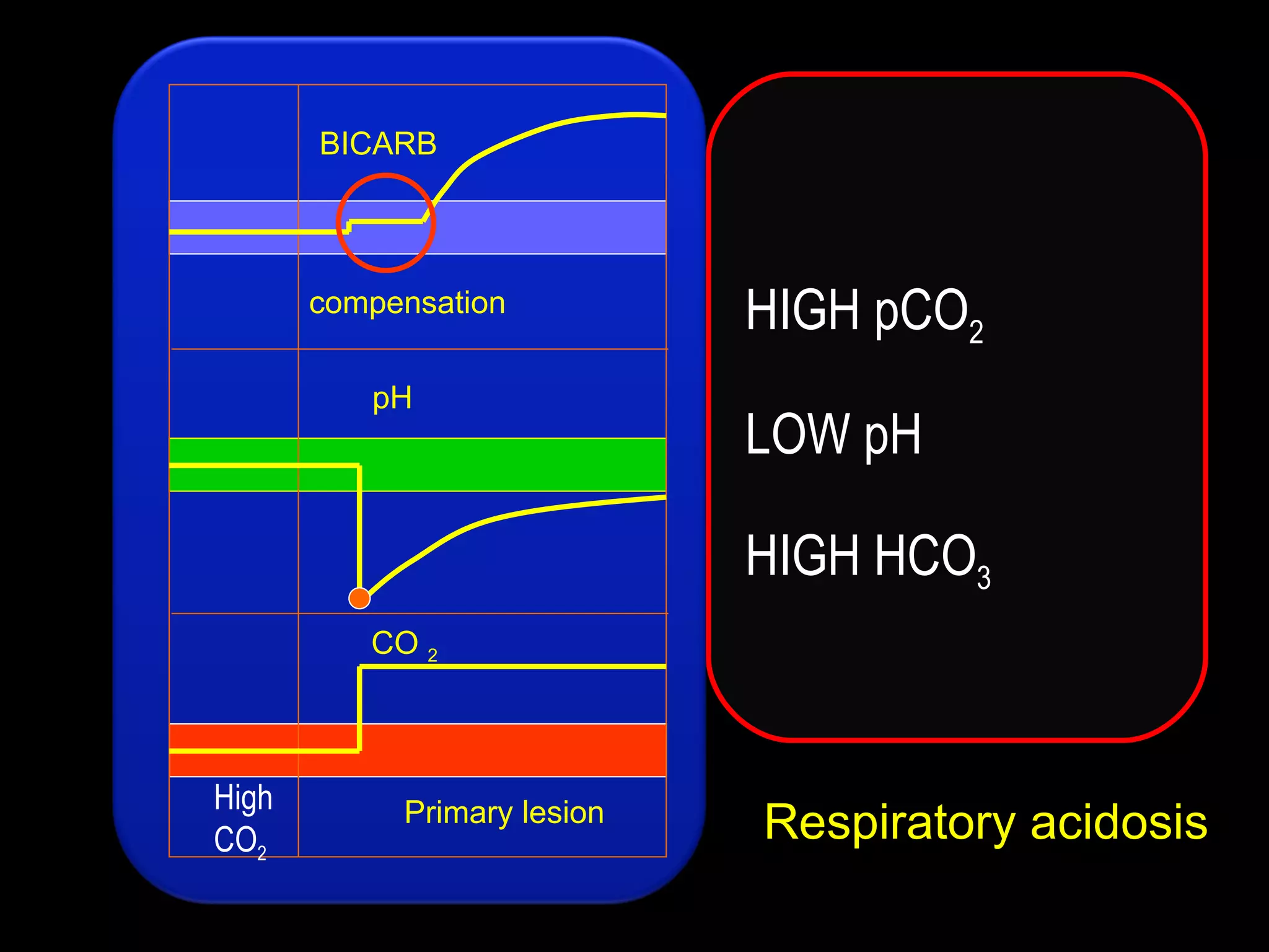 Arterial Blood Gases Made Easy 1204798448914025 4 | PPT