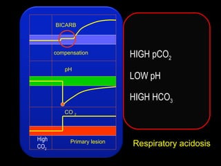Arterial Blood Gases Made Easy 1204798448914025 4 | PPT