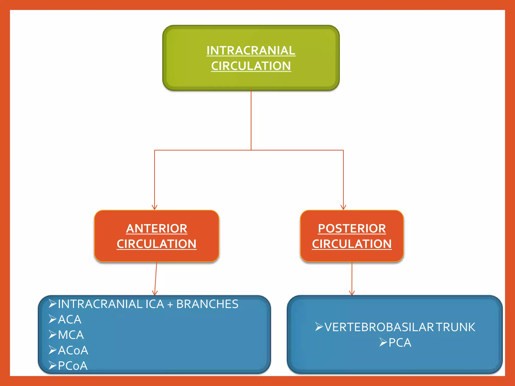 Arterial anatomy of Brain | PPTX