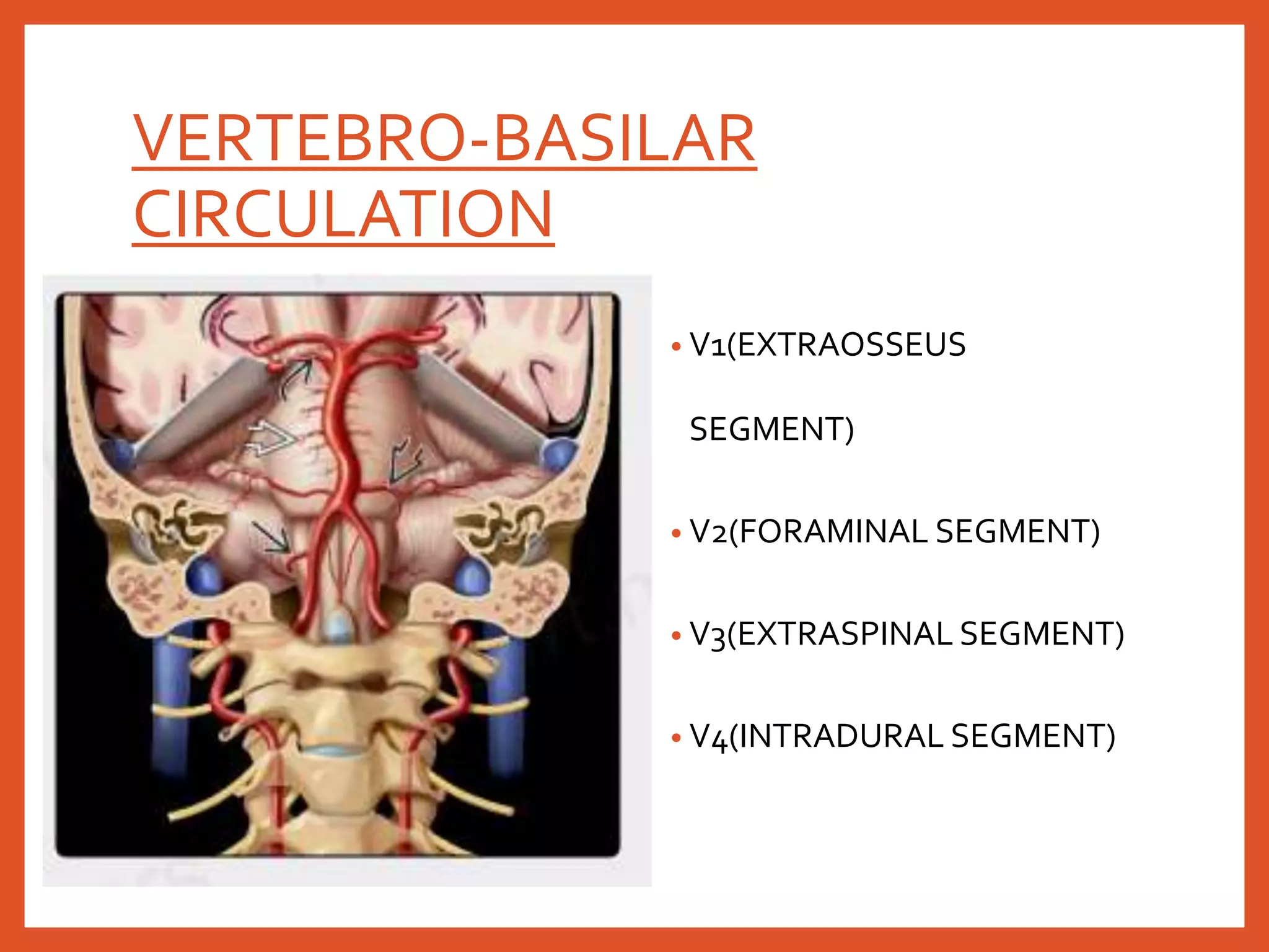 Arterial anatomy of Brain | PPTX