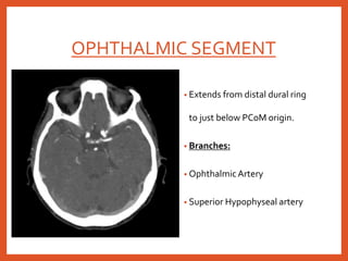 Arterial anatomy of Brain | PPTX