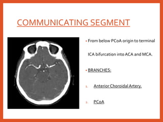 Arterial anatomy of Brain | PPTX