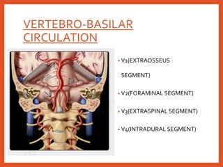 Arterial anatomy of Brain | PPTX