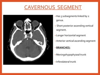 Arterial anatomy of Brain | PPTX