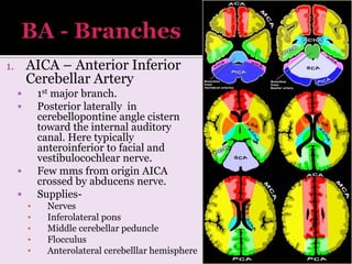 Arterial and venous supply of brain part2 | PPTX