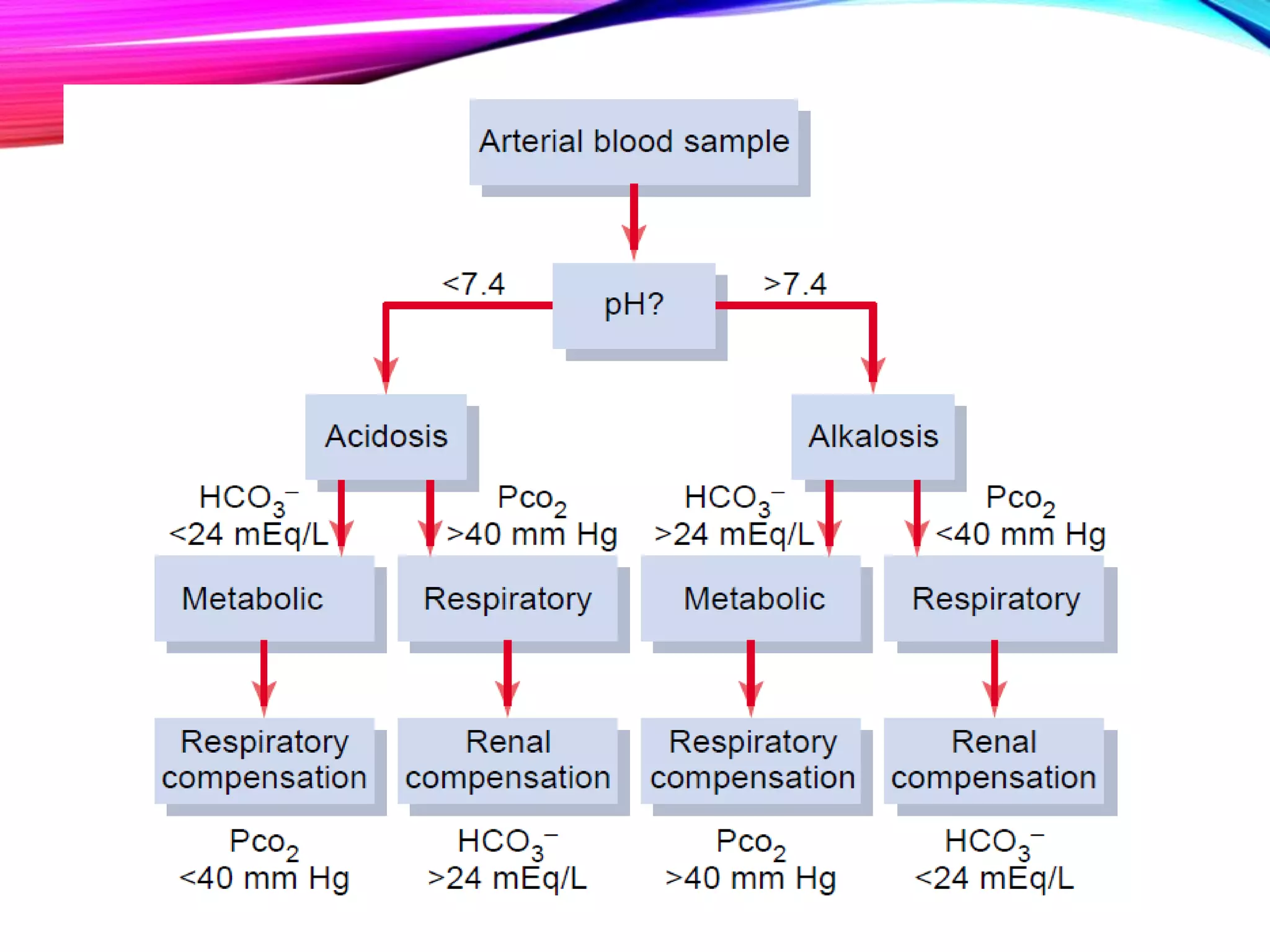 Arterial blood gas Analysis | PPTX