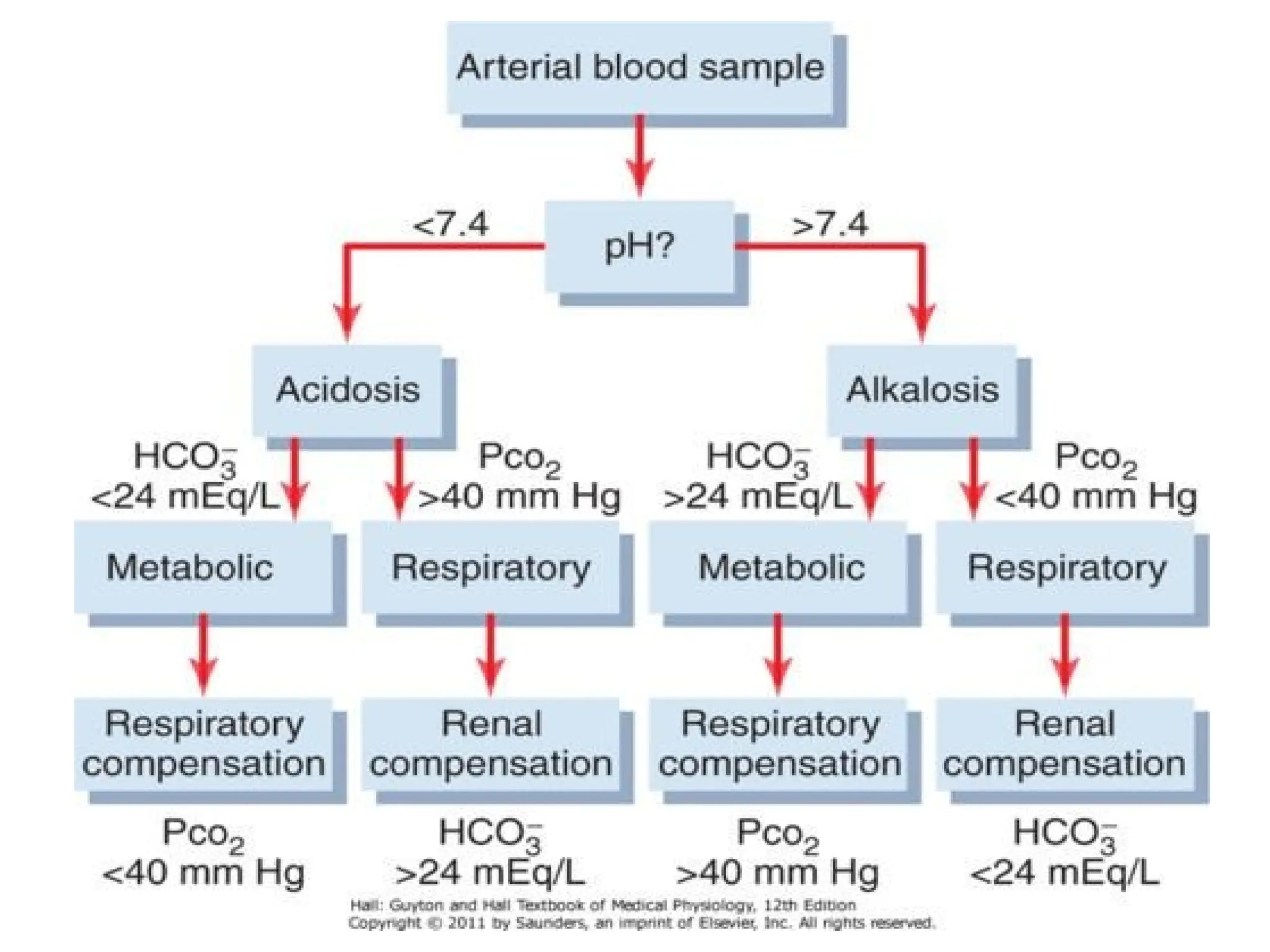 ARTERIAL BLOOD GAS ANALYSIS ABG ana.pptx