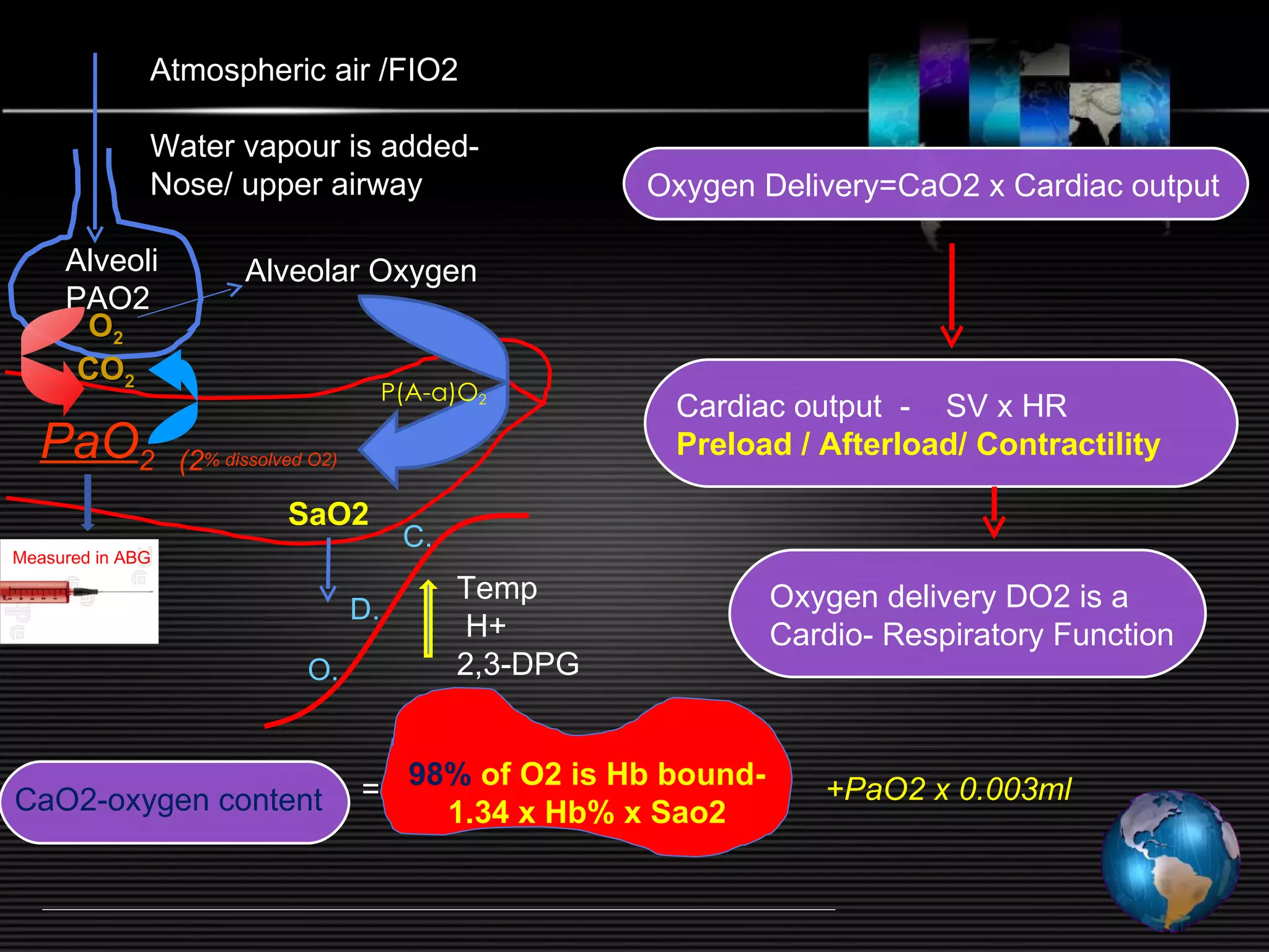 Arterial blood gas analysis assesment of oxygenation ventilation and ...