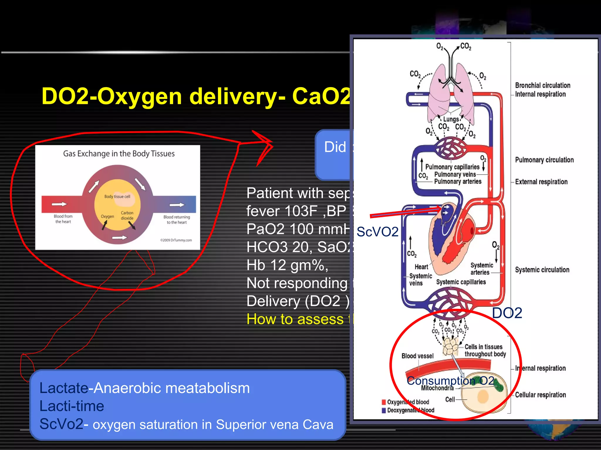 Arterial blood gas analysis assesment of oxygenation ventilation and ...