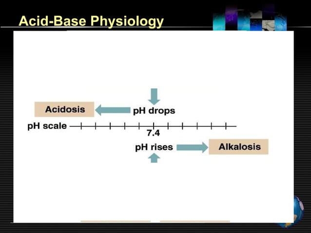 Arterial blood gas analysis assesment of oxygenation ventilation and ...