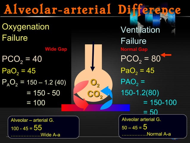 Arterial blood gas analysis assesment of oxygenation ventilation and ...