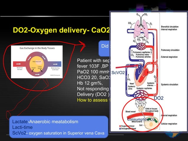 Arterial blood gas analysis assesment of oxygenation ventilation and ...