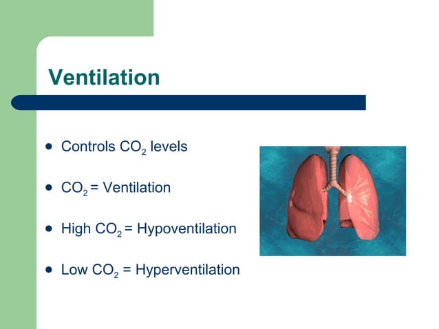 Arterial Blood Gases | PPT