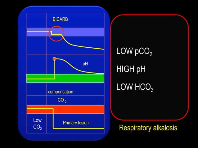 Arterial blood gases | PPT