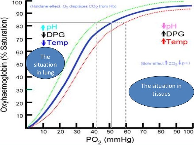 Arterial blood gases interpretation11111