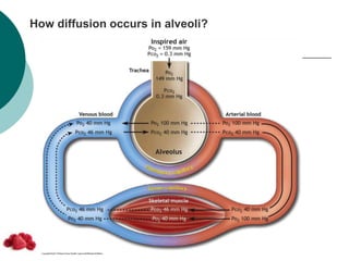 Arterial blood gas analysis in respiratory disorders | PPTX