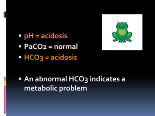 Arterial blood gas interpretation | PPTX