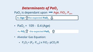 Arterial Blood Gasometry (ABG) - dr. Martha Fitri Alextina Tatodi ...