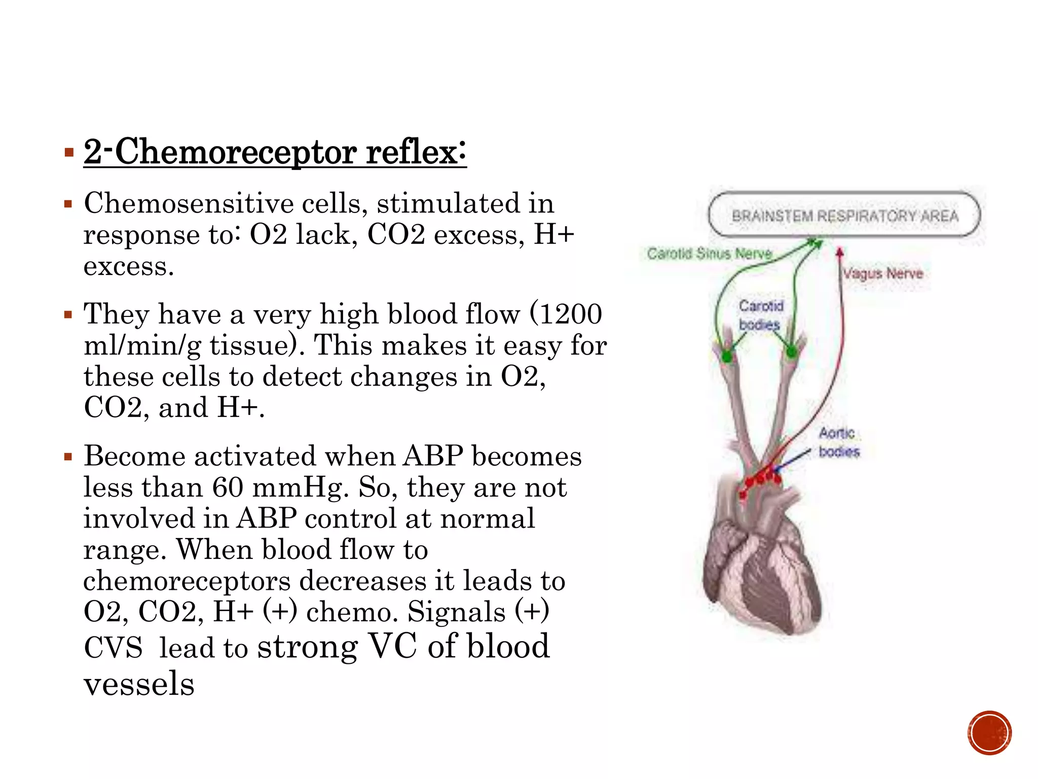 Arterial blood pressure | PPTX
