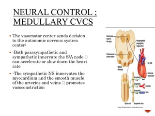 Arterial blood pressure | PPTX