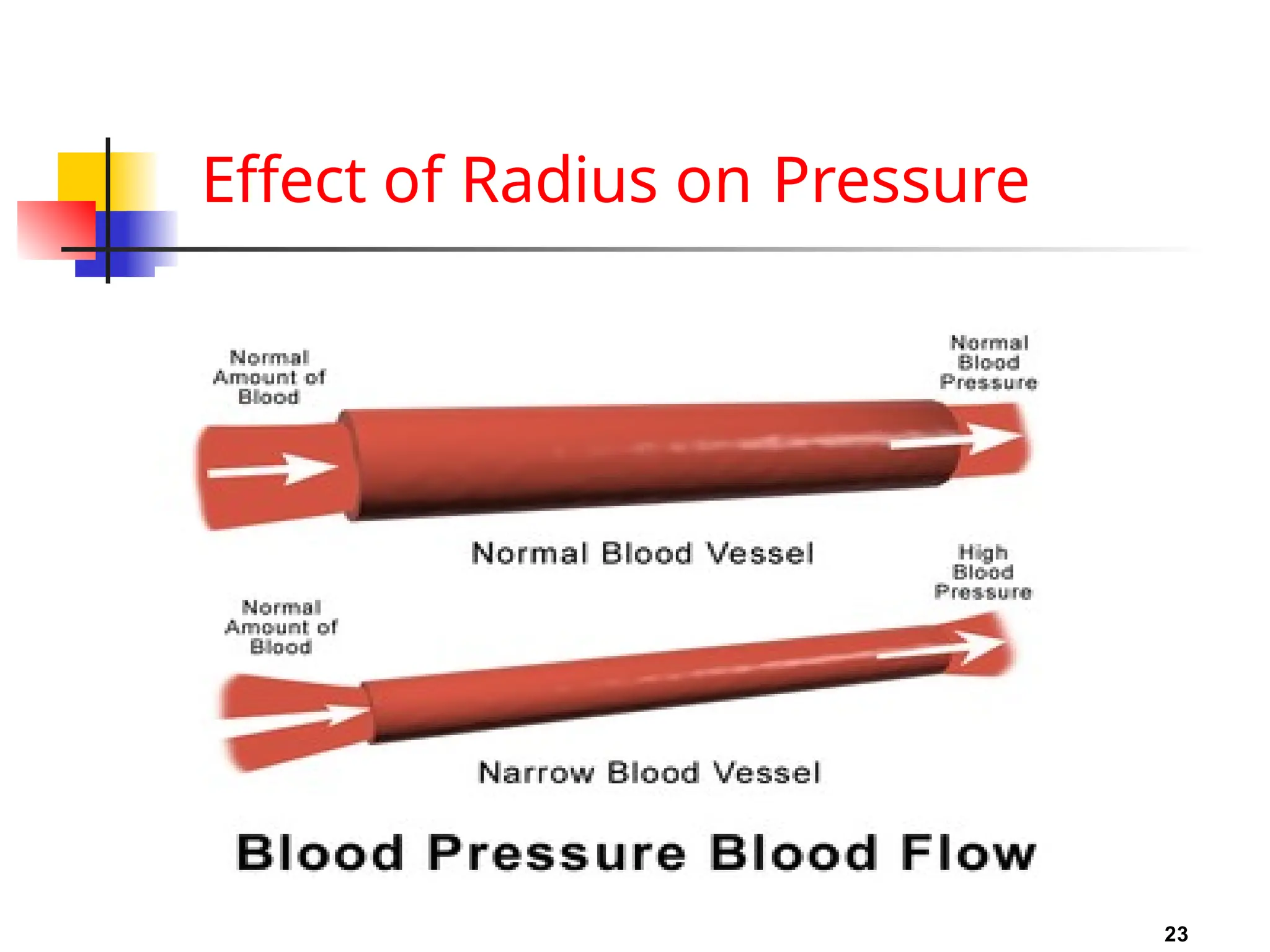 Arterial Blood Pressure & its Regulation Mechanisms.pptx