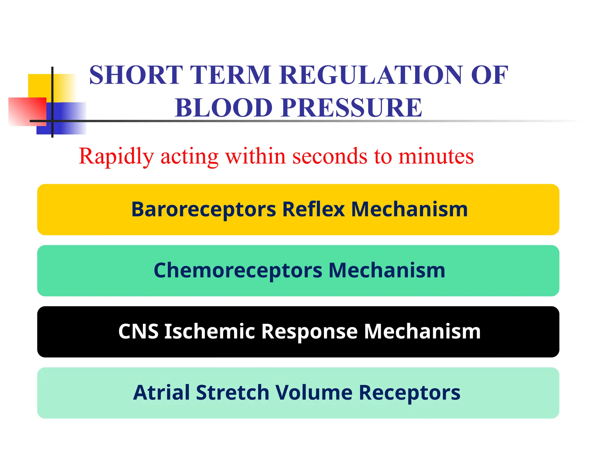 Arterial Blood Pressure & its Regulation Mechanisms.pptx