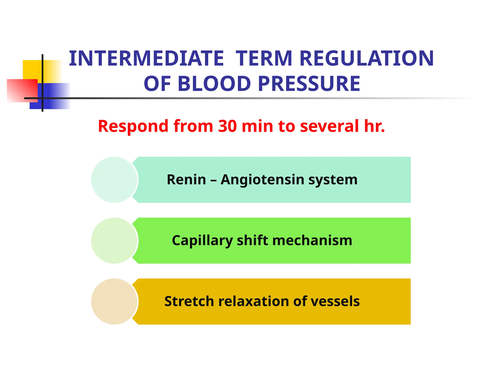 Arterial Blood Pressure & its Regulation Mechanisms.pptx