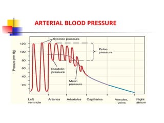 Arterial Blood Pressure & its Regulation Mechanisms.pptx