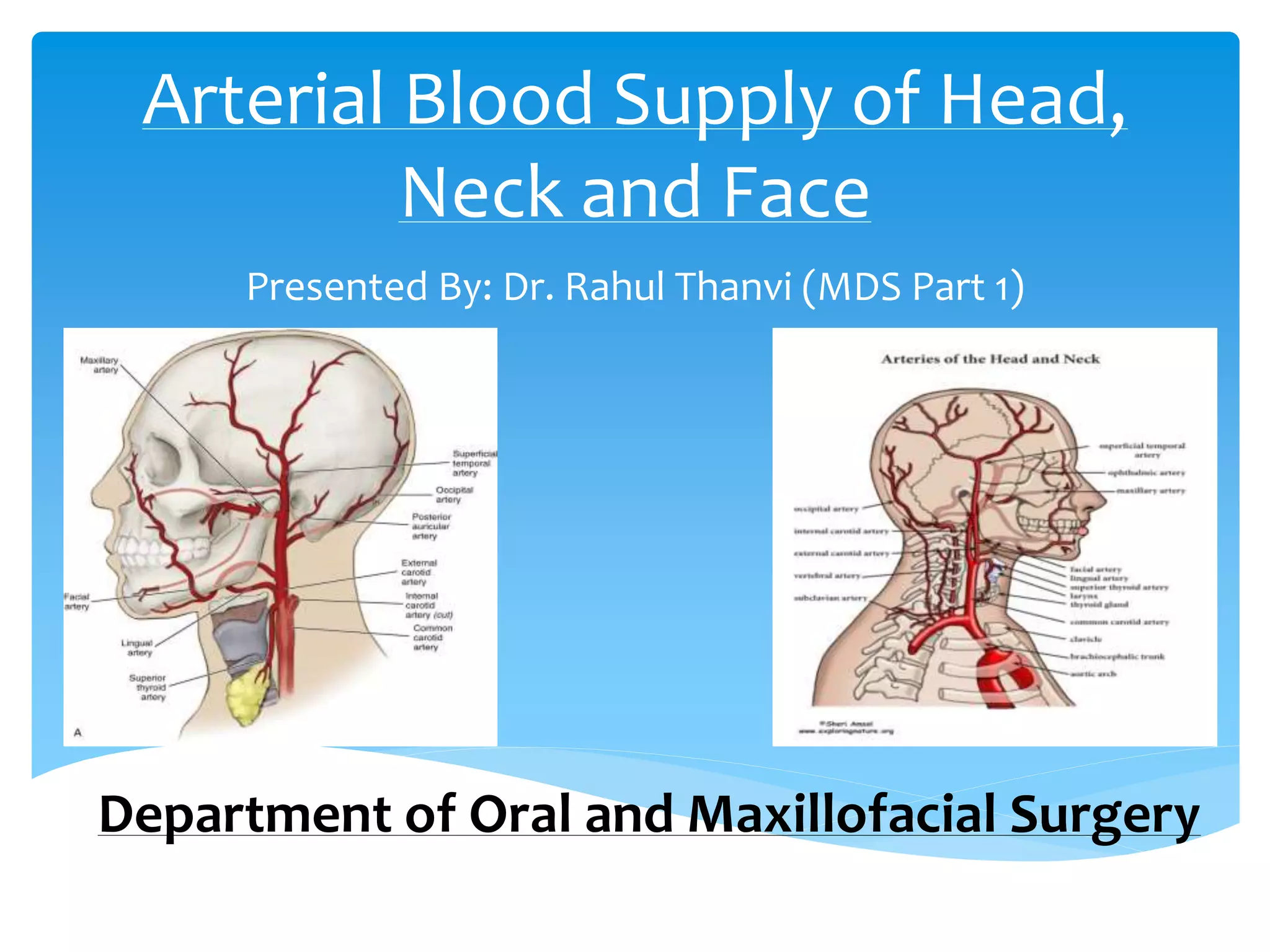Arterial blood supply of Head, Neck and Face. | PPTX
