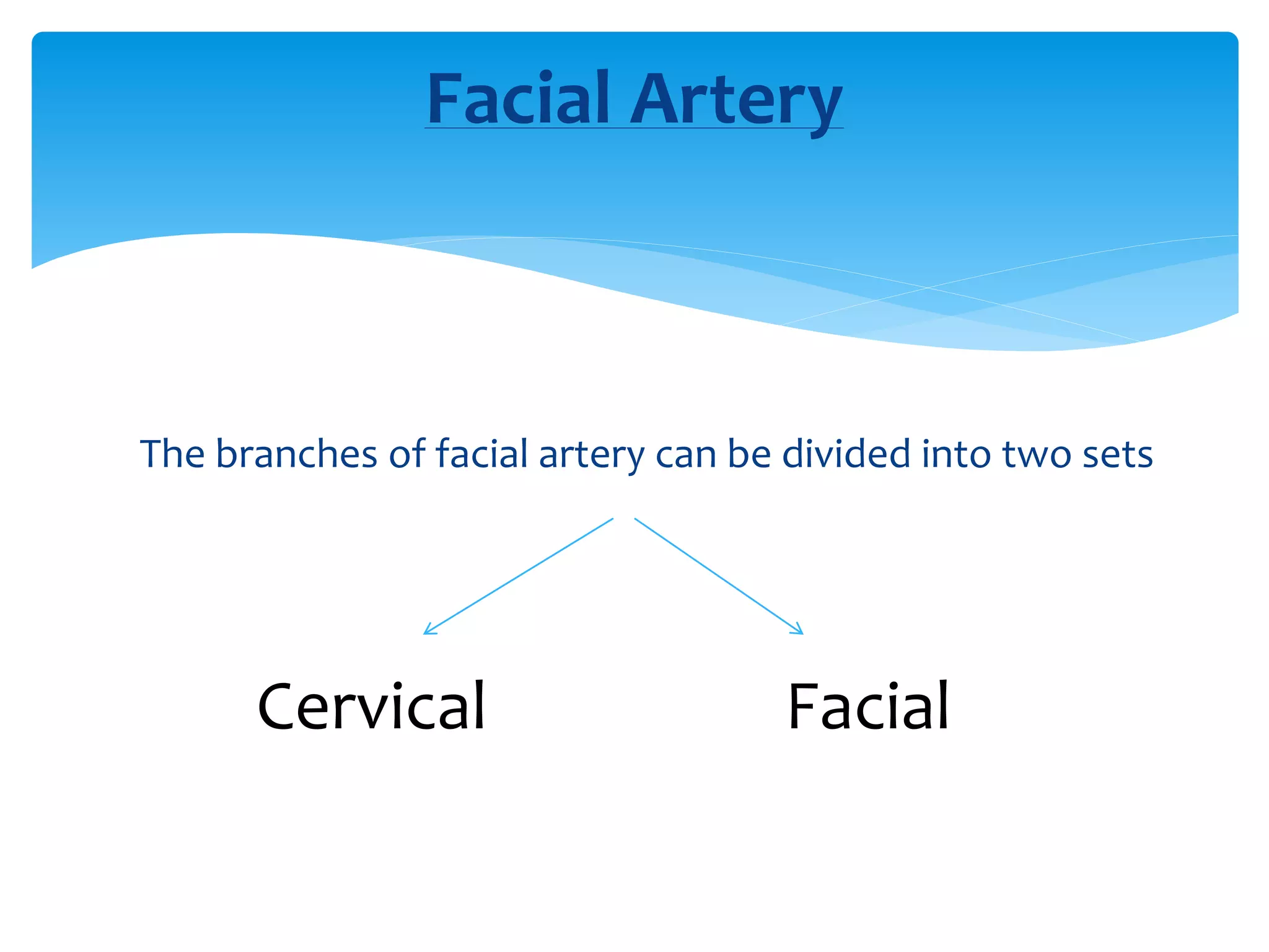 Arterial blood supply of Head, Neck and Face. | PPTX