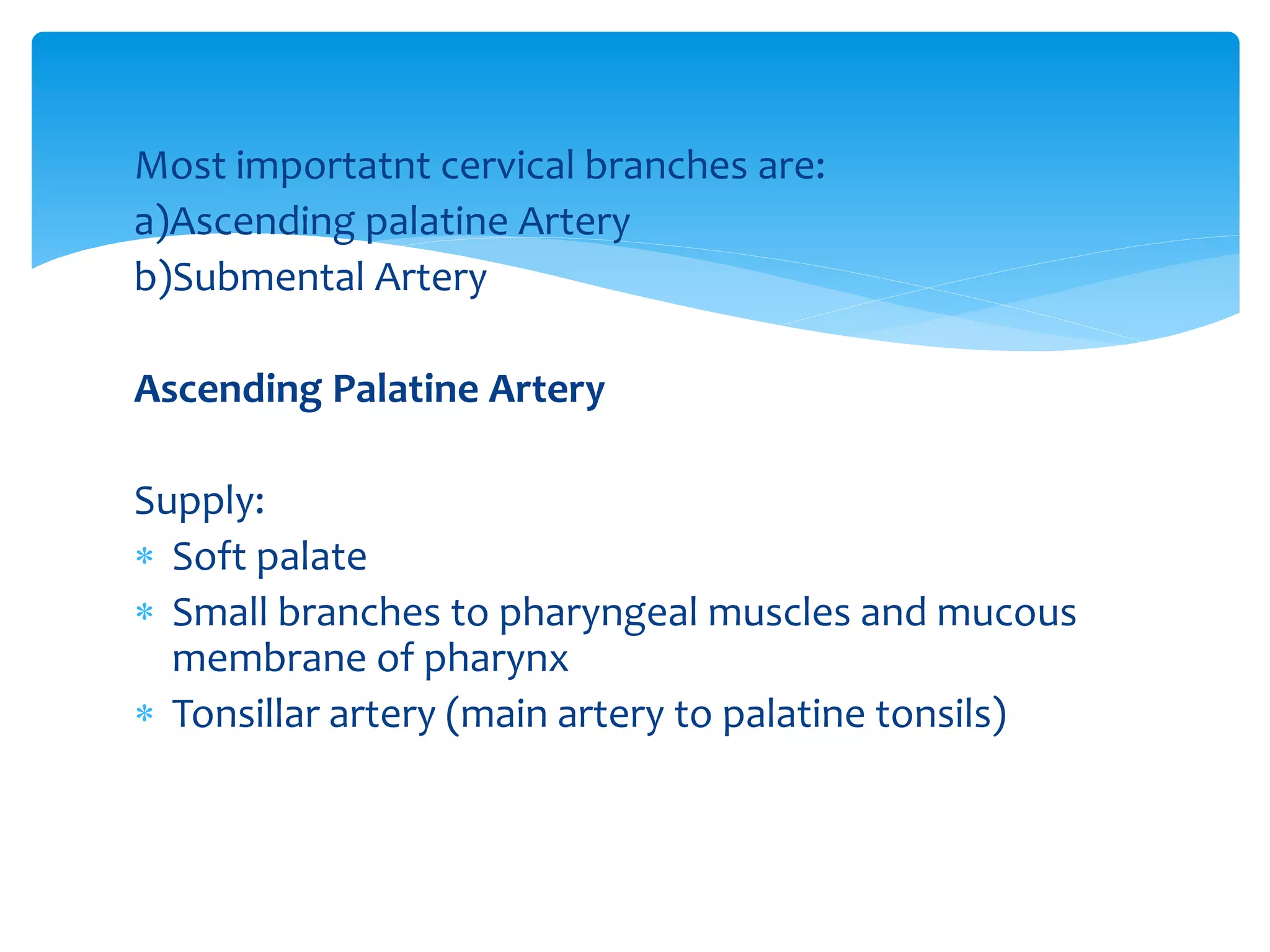 Arterial blood supply of Head, Neck and Face. | PPTX