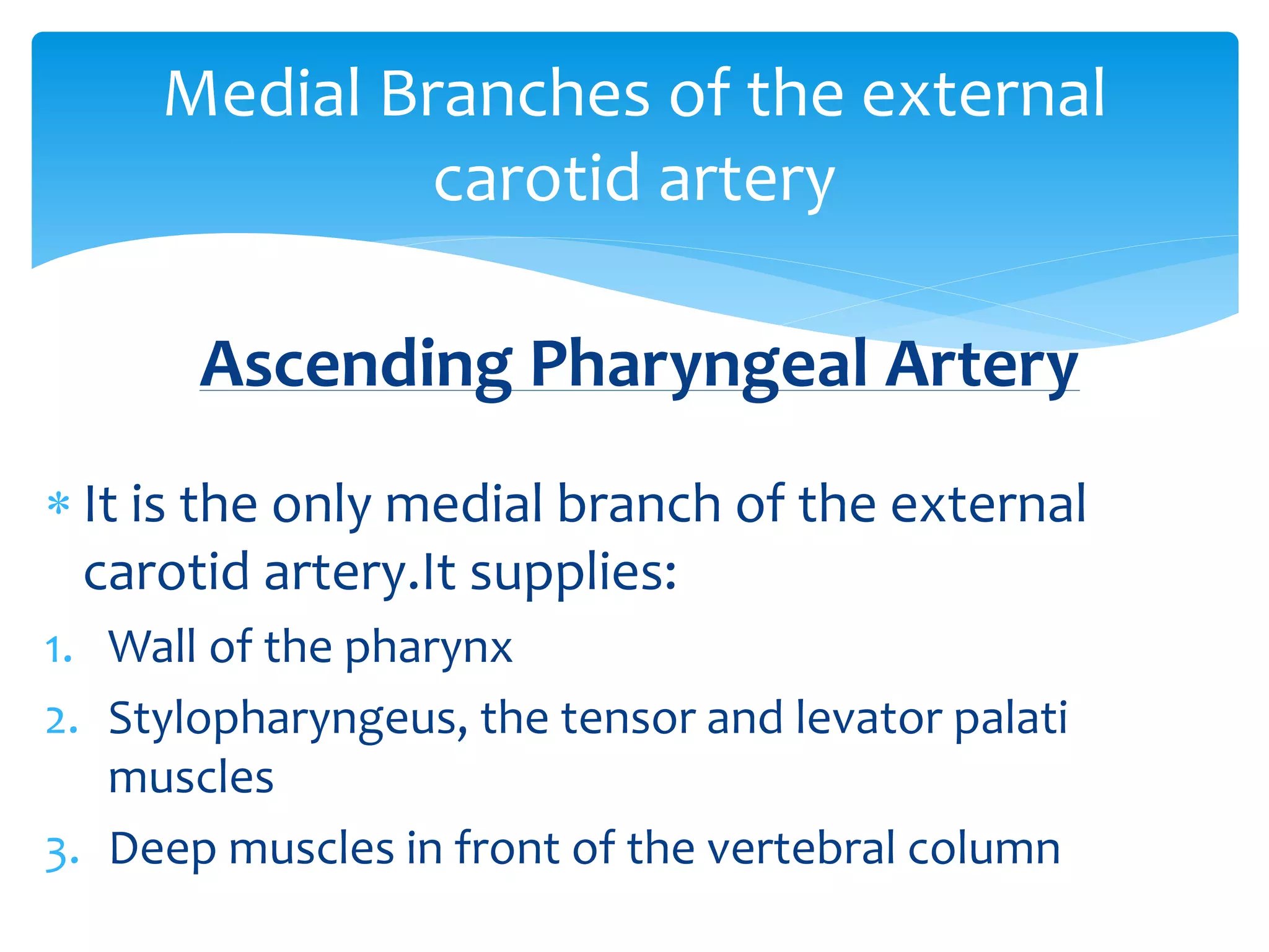 Arterial blood supply of Head, Neck and Face. | PPTX