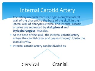 Arterial blood supply of Head, Neck and Face. | PPTX