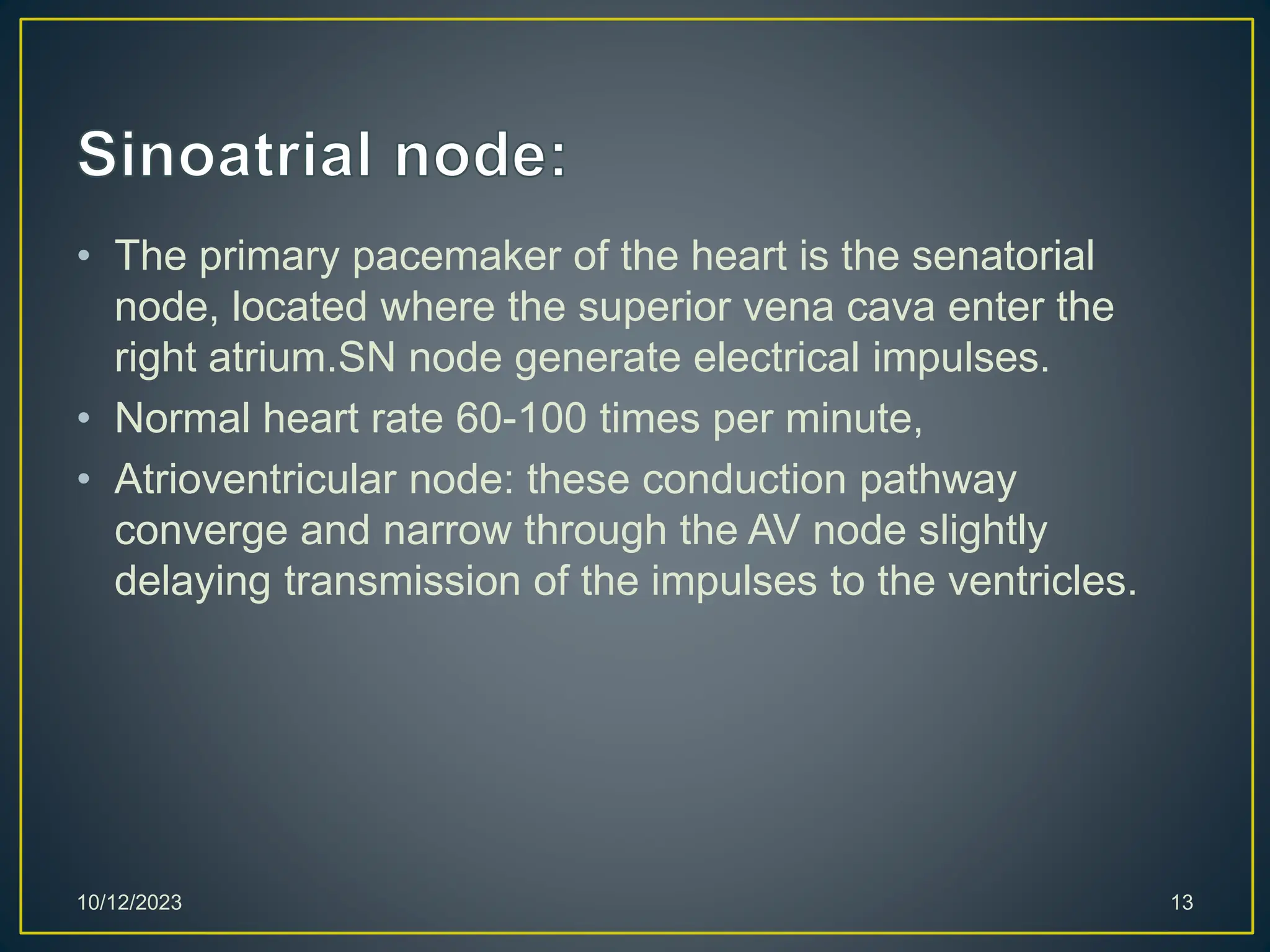 Arterial circulation.pptx