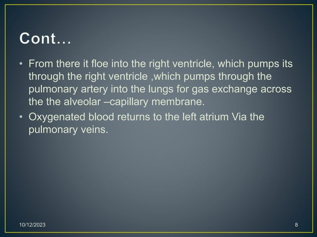 Arterial circulation.pptx