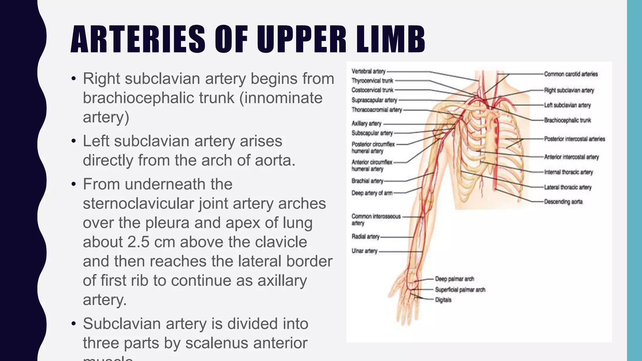 Arterial diseases | PPTX