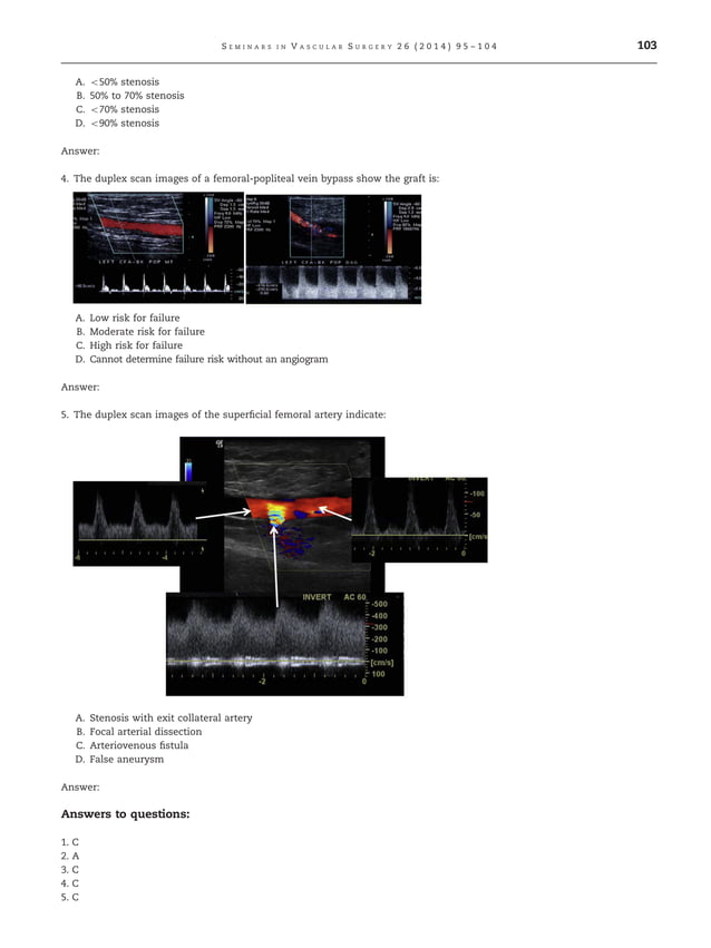 Arterial duplex images and interp | PDF