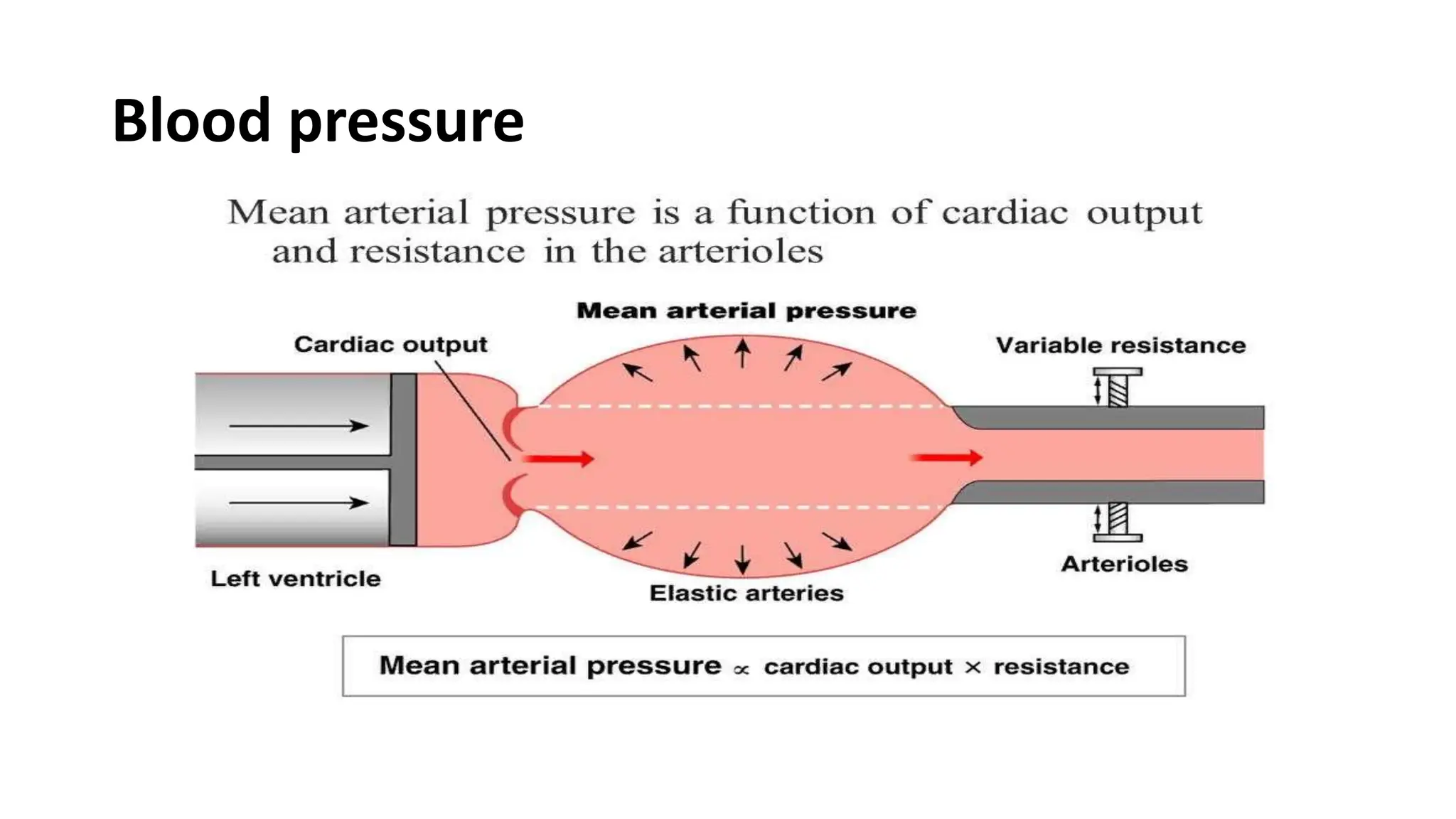 Arterial hypertension, blood pressure ppt | PPT