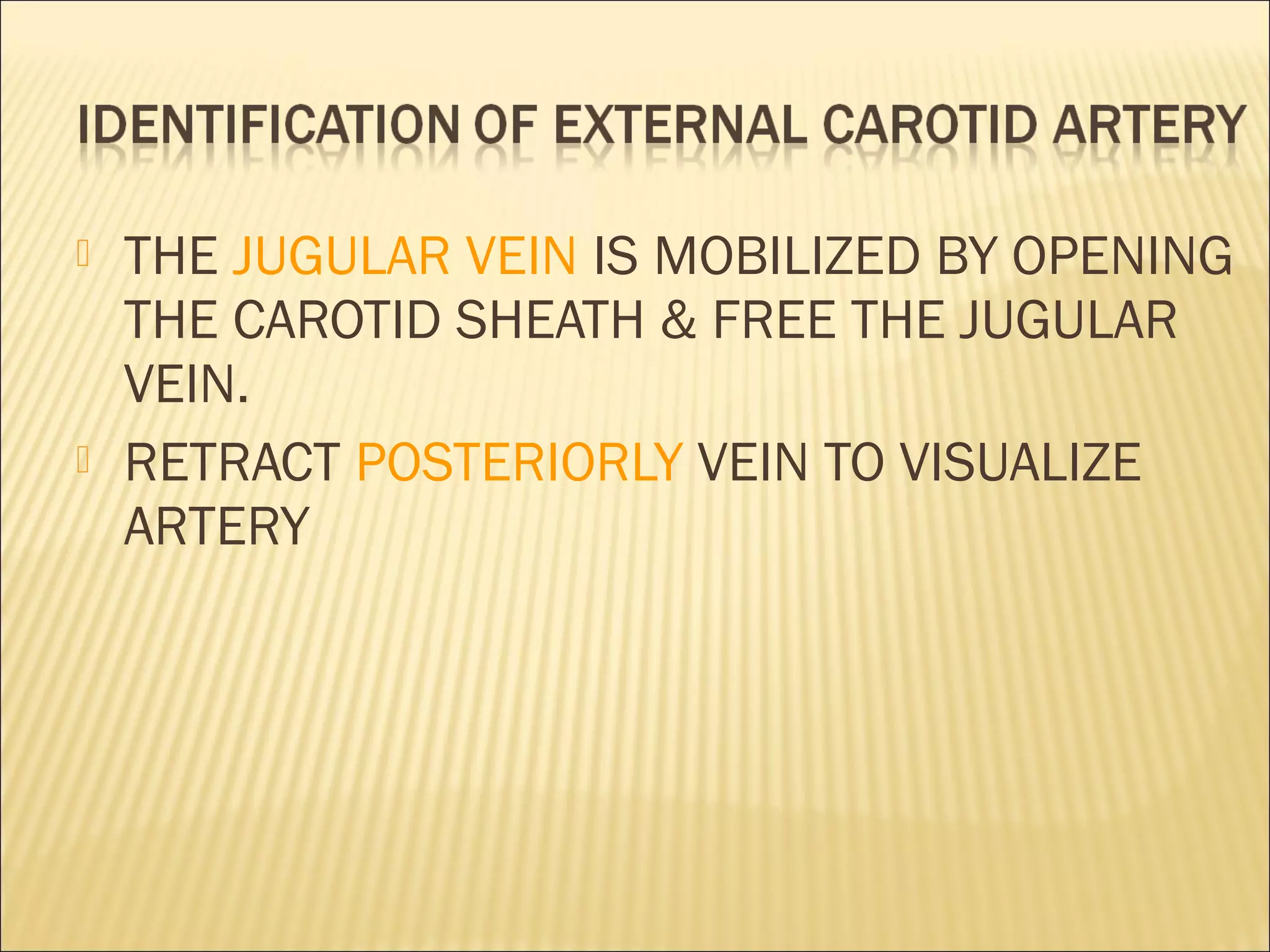 VESSEL ligation | PPT