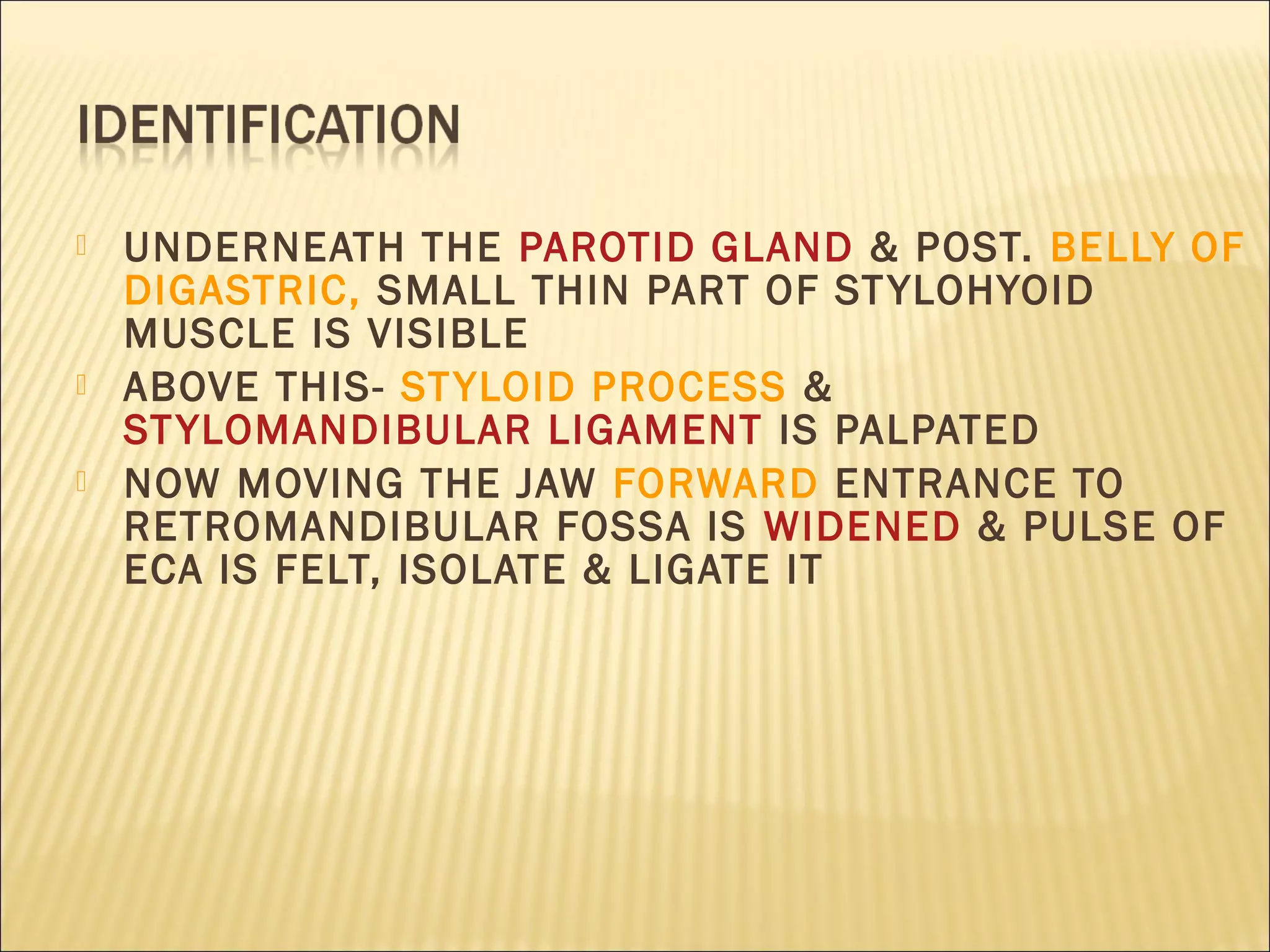 VESSEL ligation | PPT