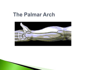 Arterial line insertion | PPTX