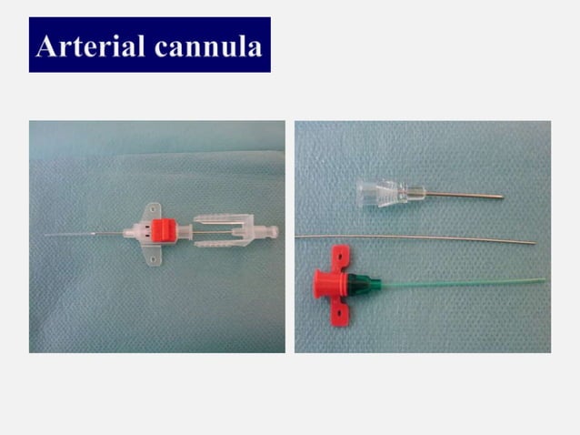 Arterial lines by Dr.Tinku Joseph | PPTX | First Aid | Injuries