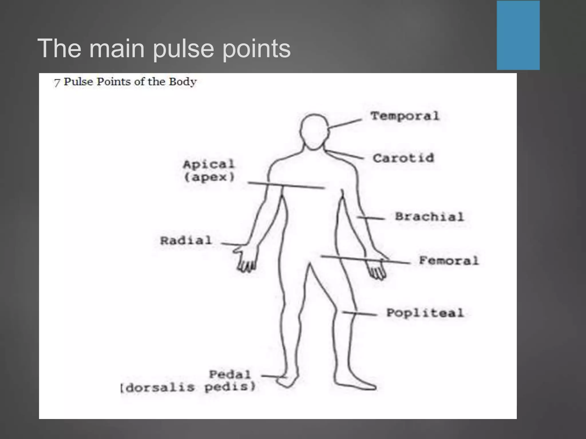 Arterial pulse (The Guyton and Hall Physiology) | PPTX