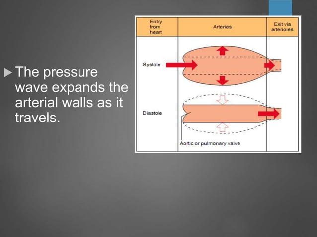 Arterial pulse (The Guyton and Hall Physiology) | PPTX | Heart and Cardiovascular Diseases ...