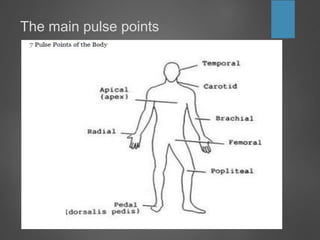 Pedal Pulses Diagram